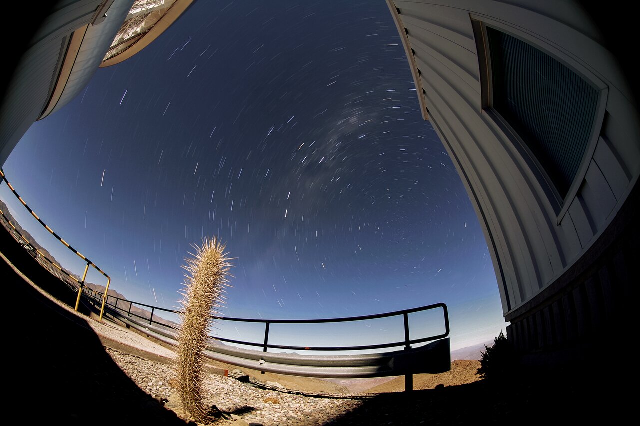 Cholla and Star Trails | NOIRLab
