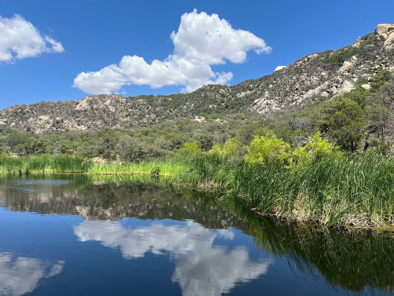 A small lake in the Quinlan Mountains serves as a backup water source ...