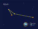 Apus | NOIRLab